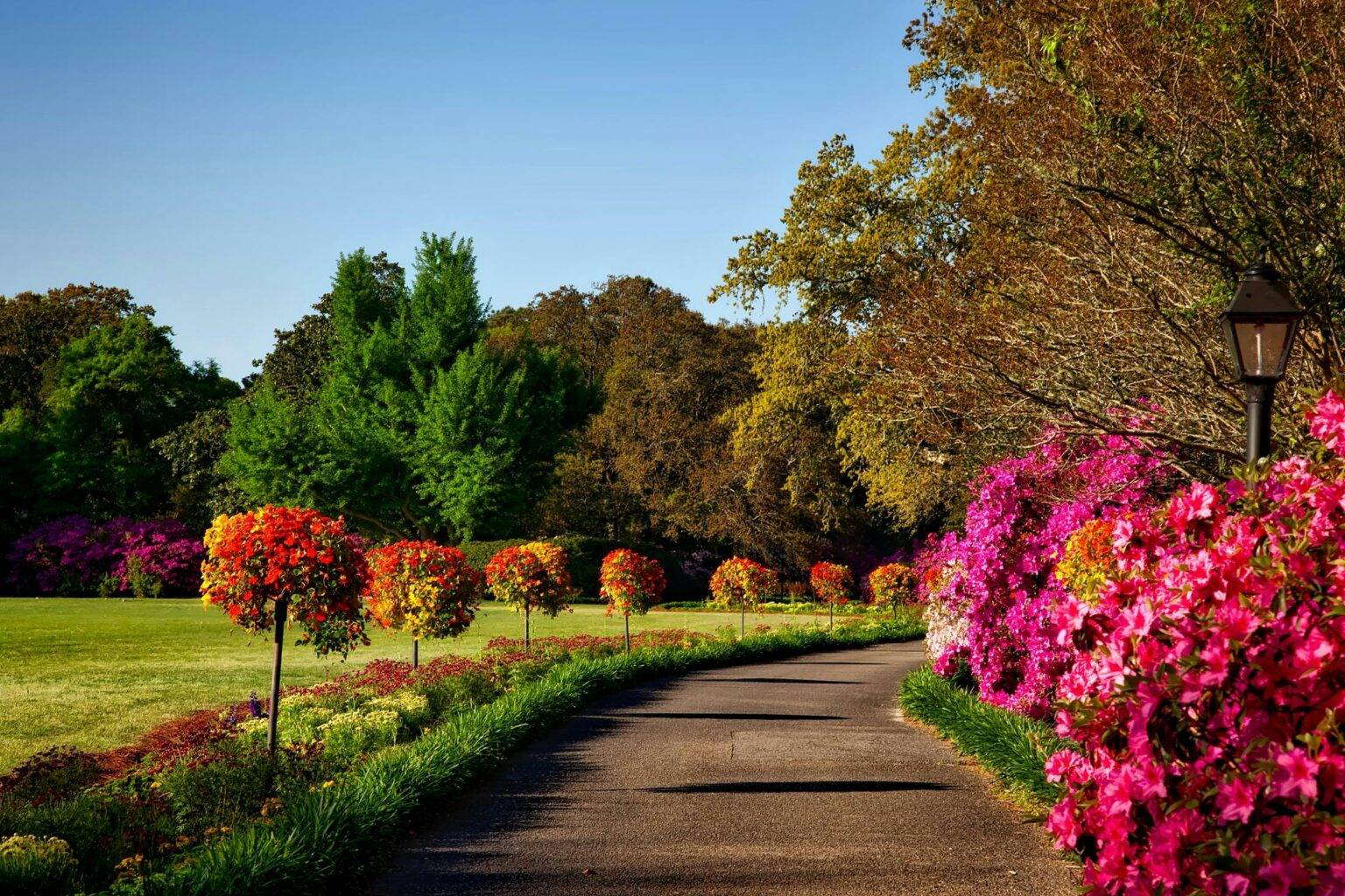 The Great Outdoors of Ashburn: Exploring Local Parks and Trails in ...
