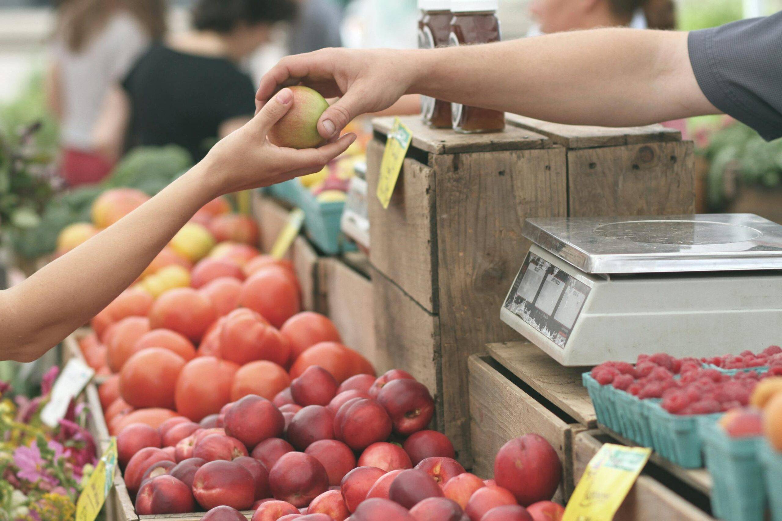 Farmers Markets in Loudoun County: Your Guide to Local Harvests in Leesburg, Ashburn, Sterling ...